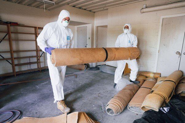 What To Do With a Flooded Carpet - Restoration Specialists